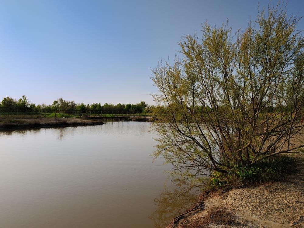 Oasis of Ca’ Mello - Water Museums of Venice