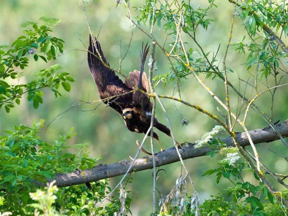 Oasis of Ca’ Mello - Water Museums of Venice