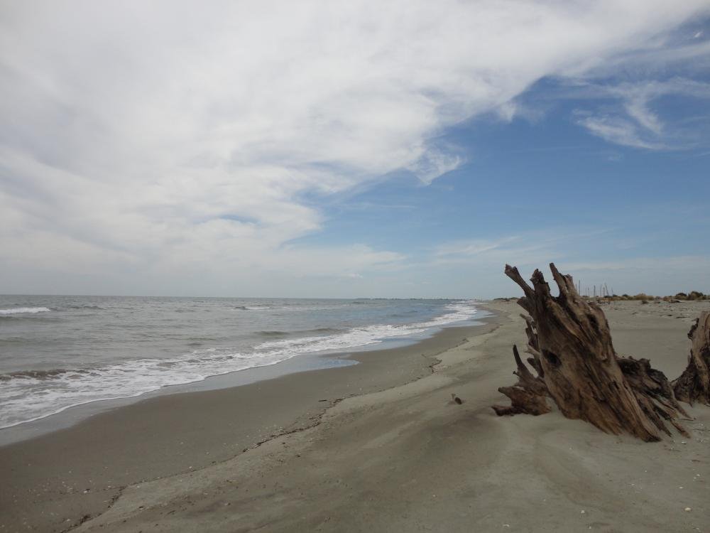 Scano Boa - Water Museums of Venice
