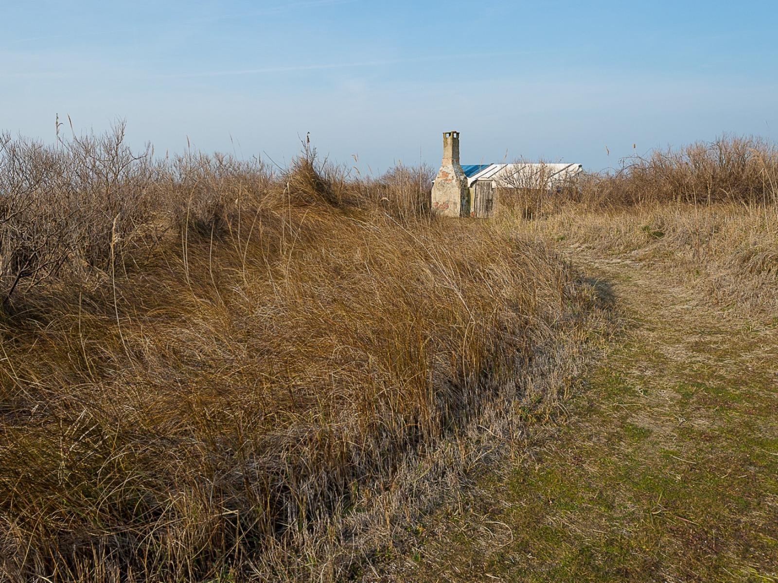 Scano Boa - Water Museums of Venice